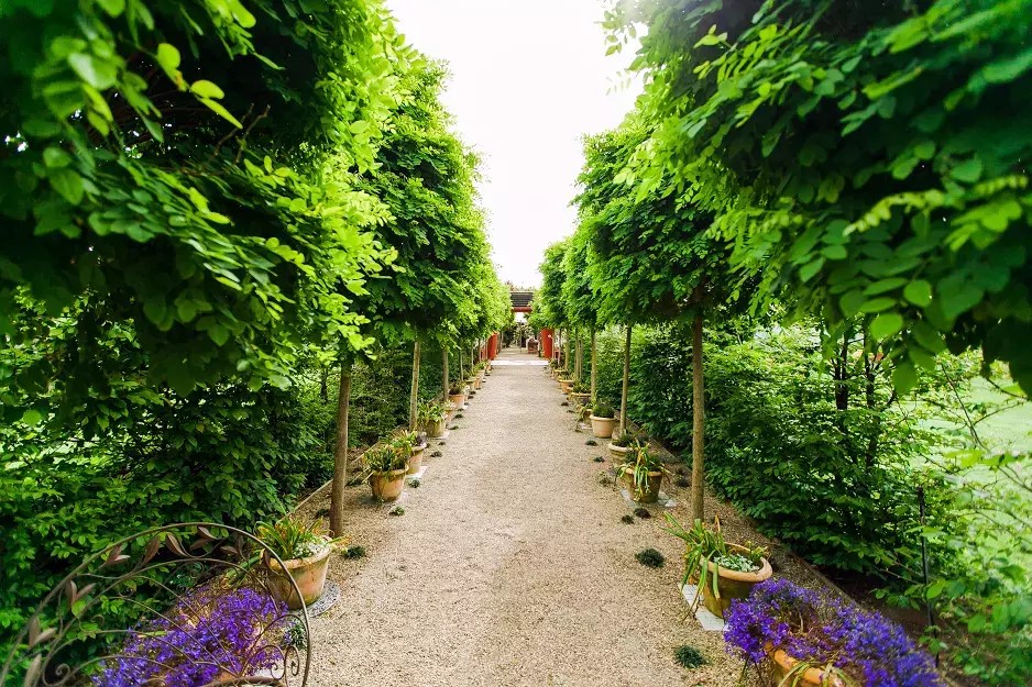 Gardens to Visit - Plum Meadows