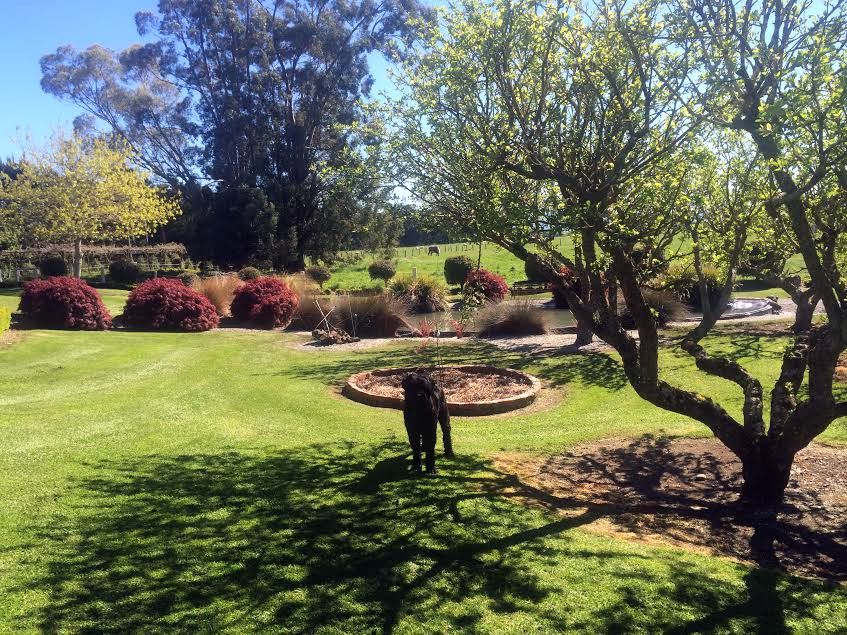 Gardens to Visit - Brookhaven Country Garden & Farm Homestay