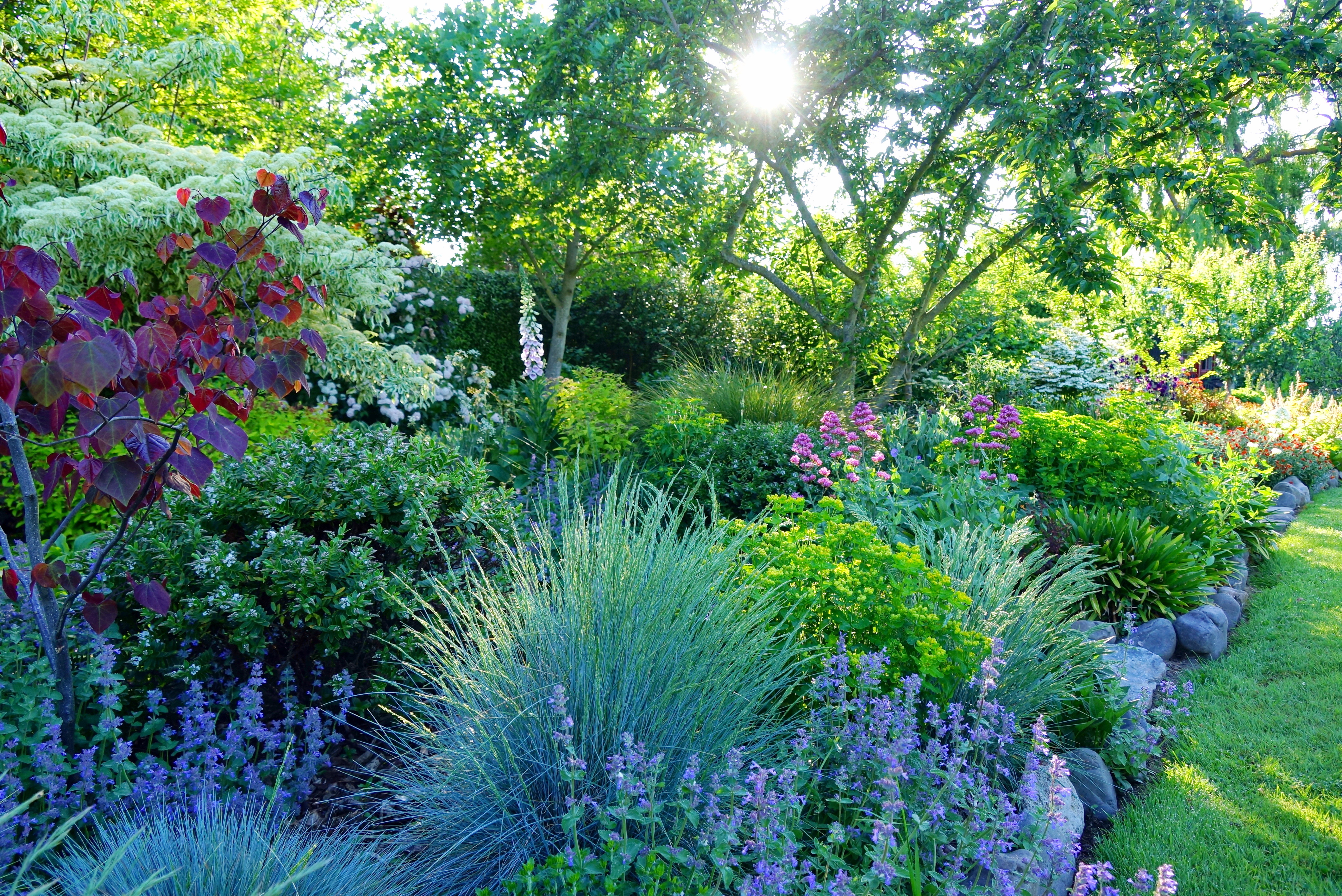 Gardens to visit - Private Gardens