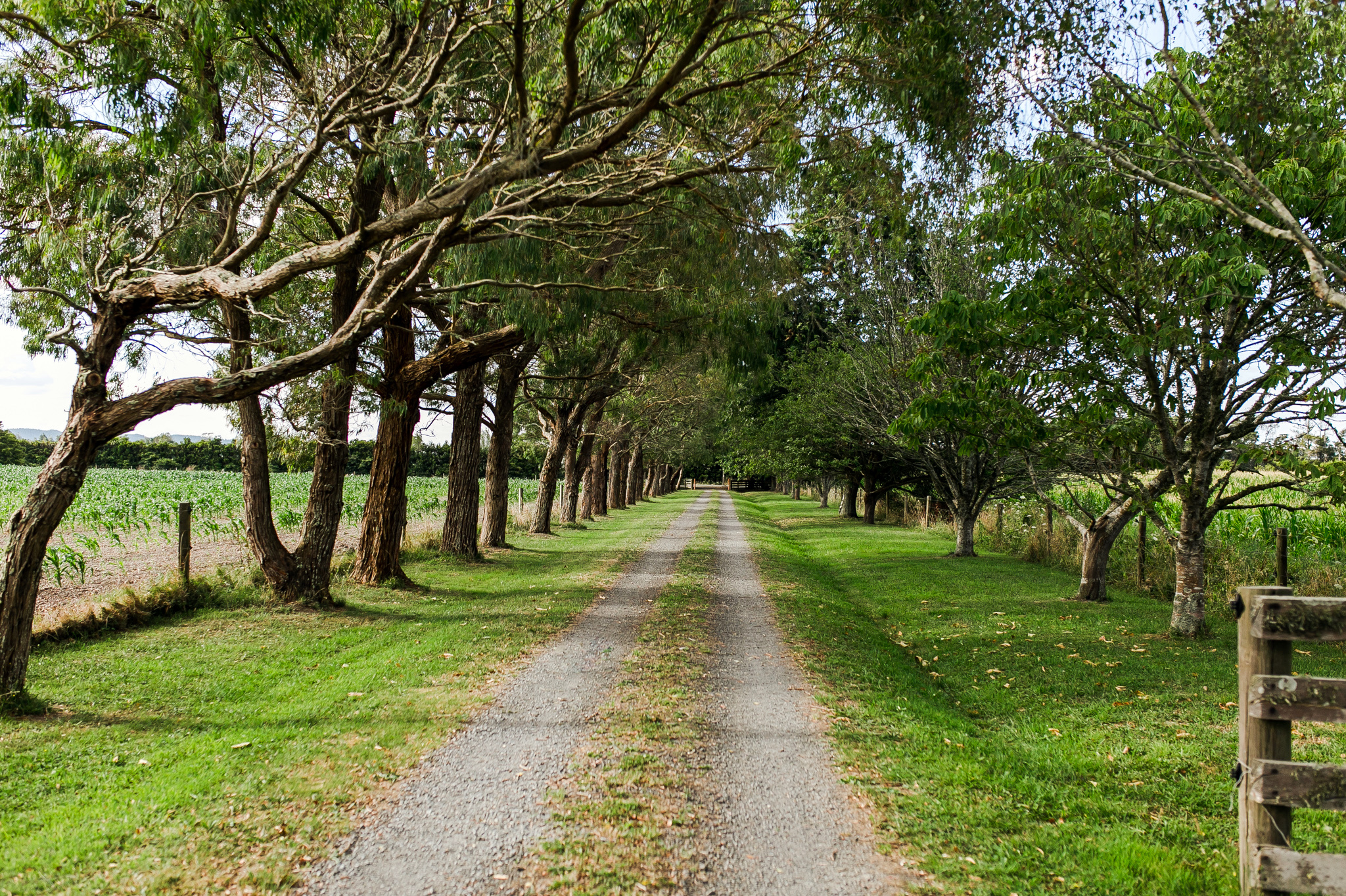 Gardens to visit - Plum Meadows