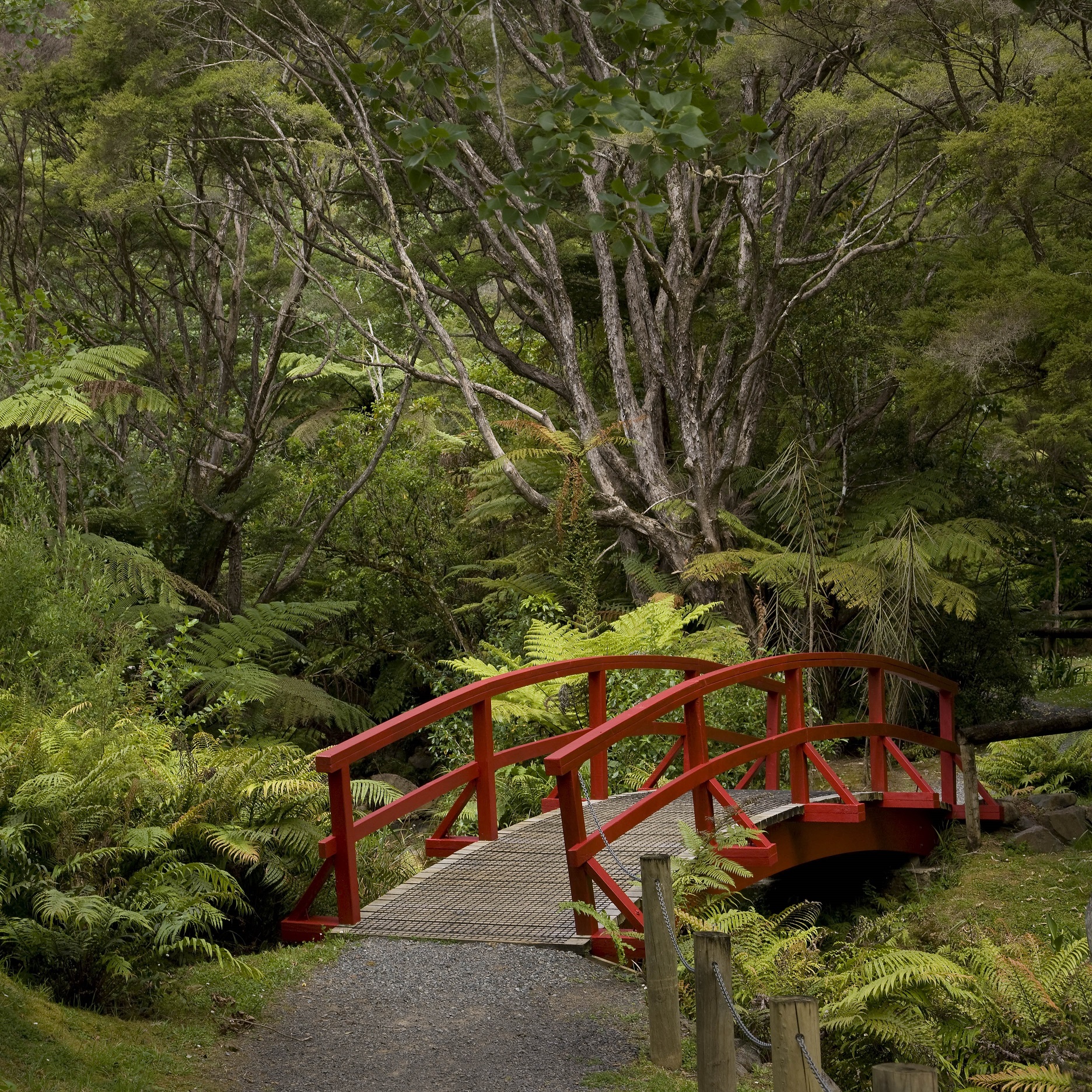 Gardens to visit - Rapaura Watergardens
