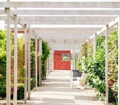 Gardens to Visit - Plum Meadows