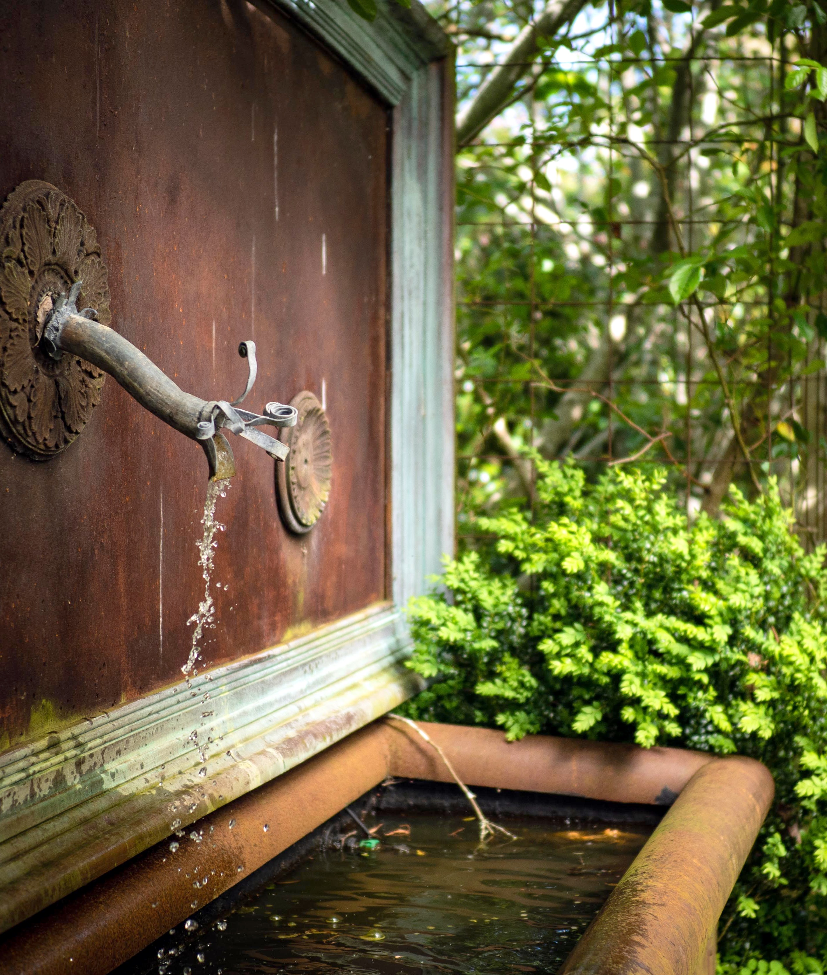 Gardens to visit - Plum Meadows