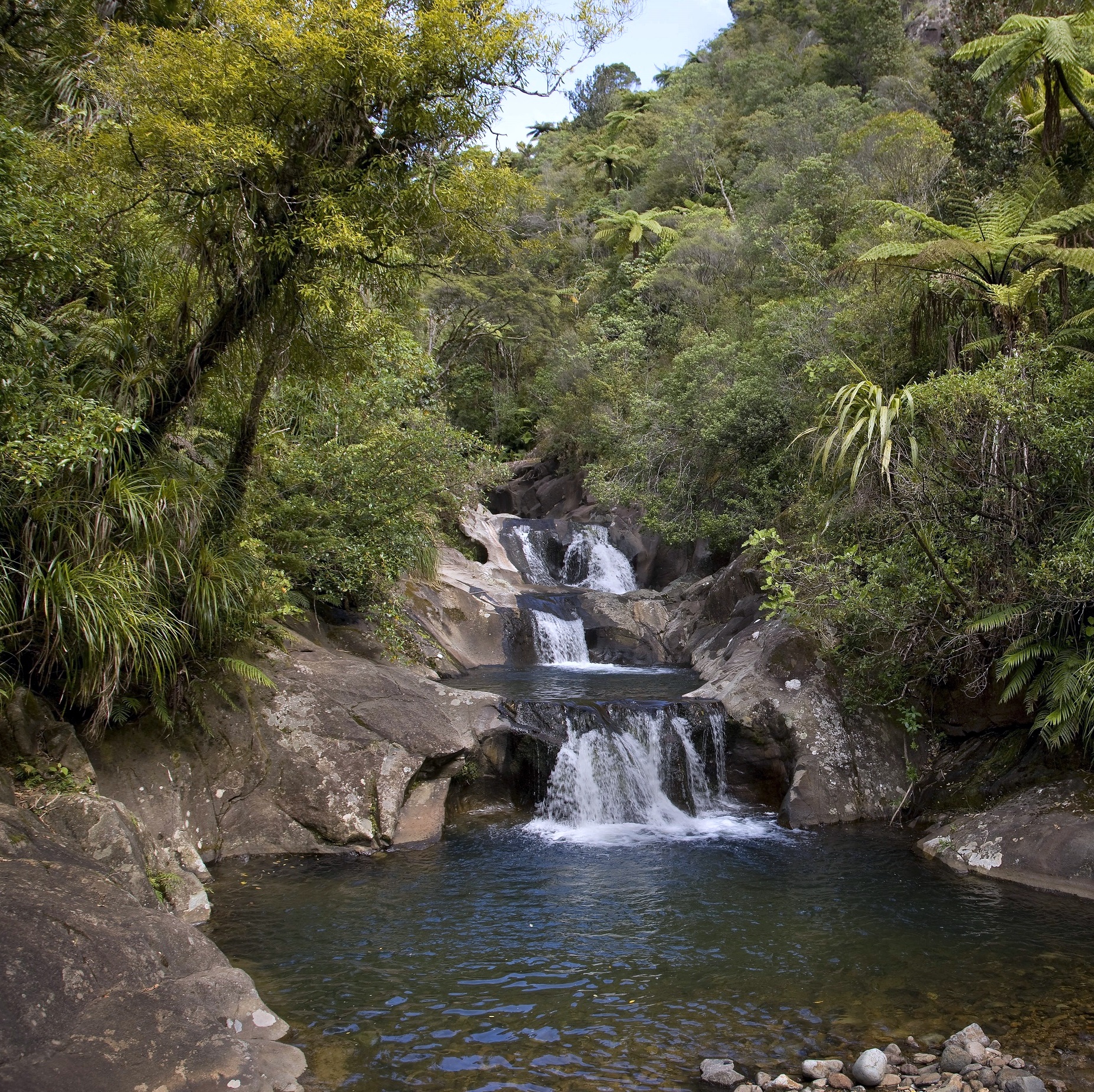 Gardens to Visit - Rapaura Watergardens