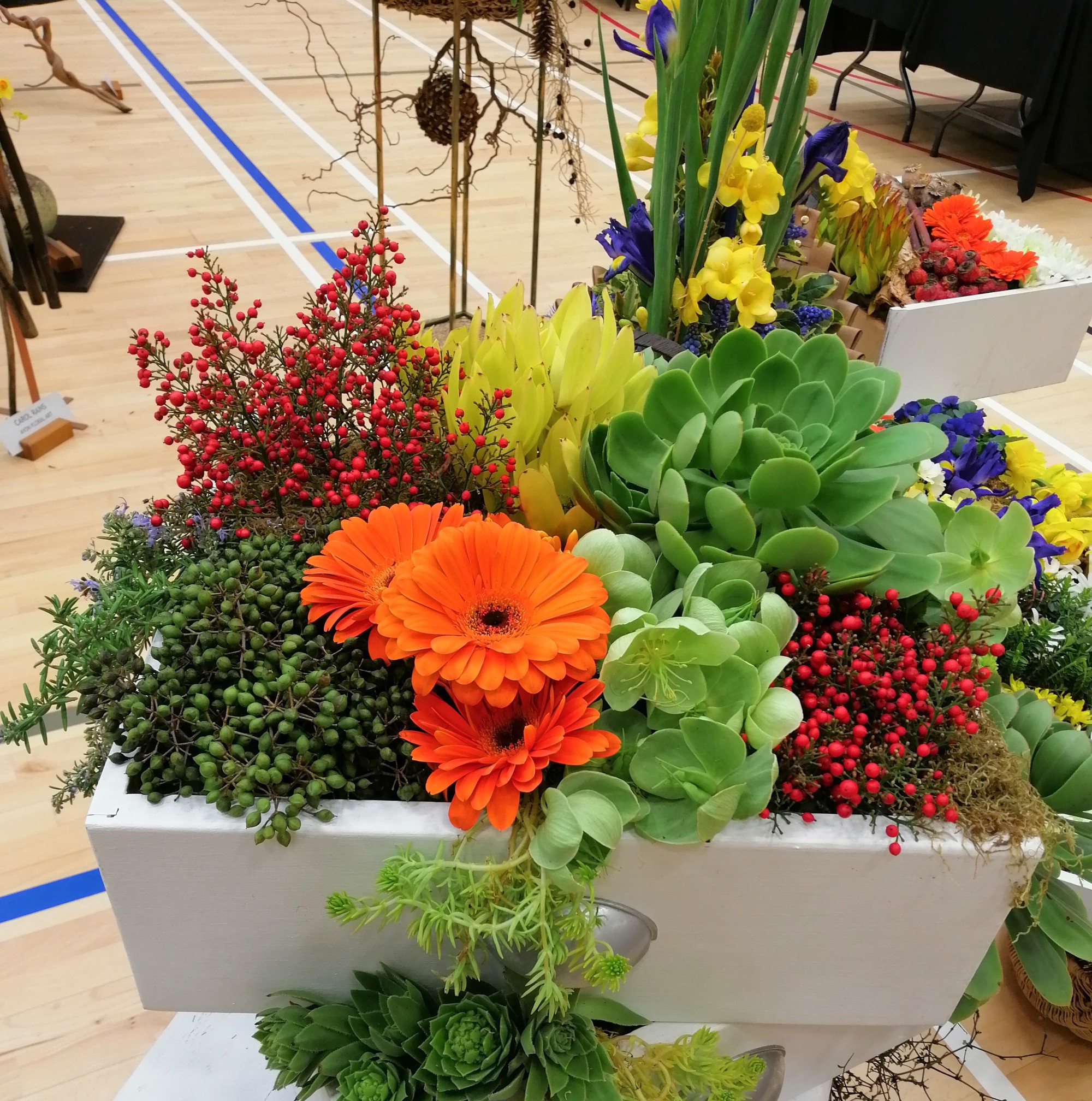 Gardens to visit - Botanical Expo