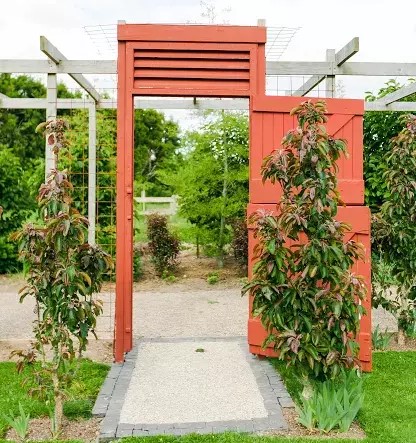 Gardens to Visit - Plum Meadows