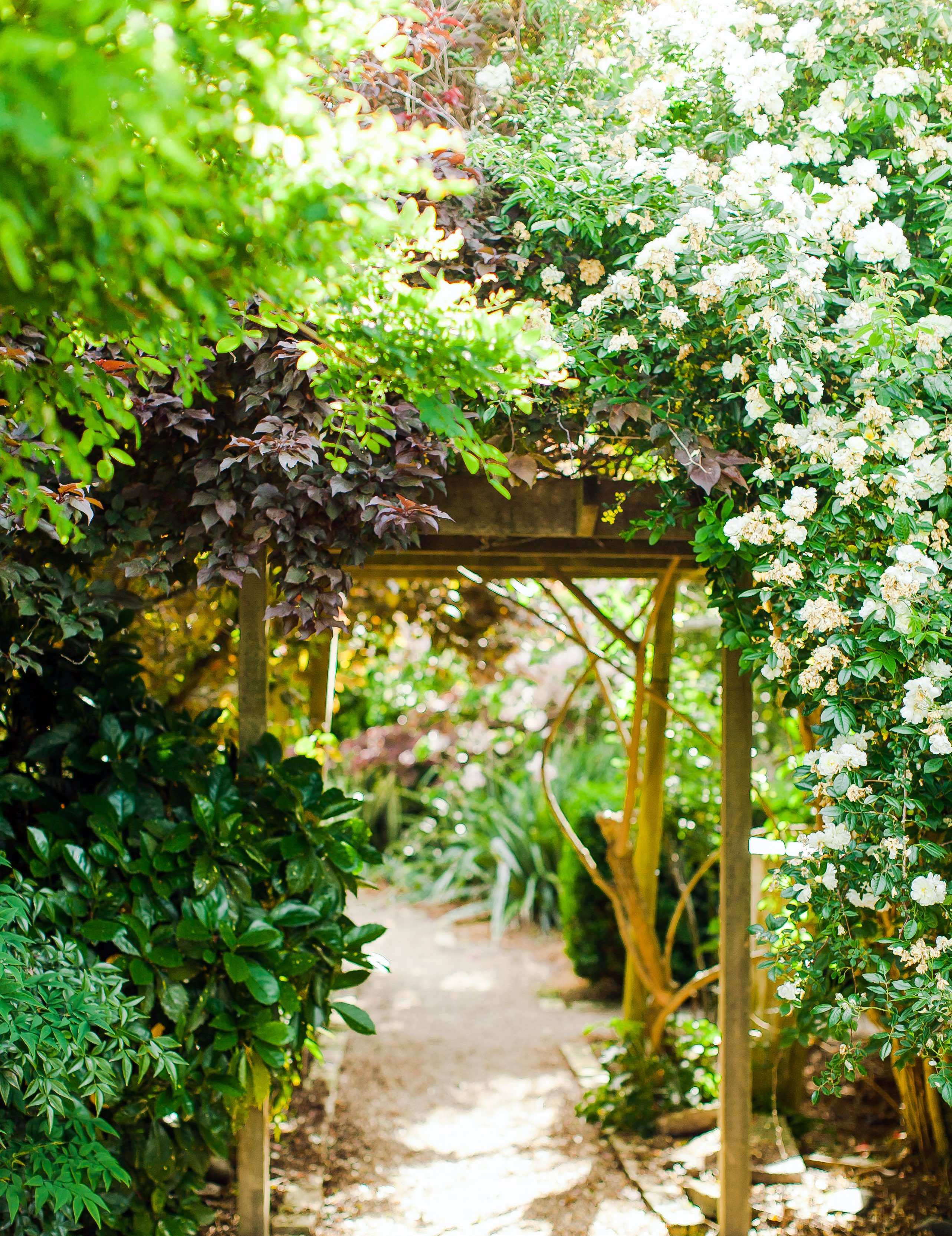 Gardens to visit - Plum Meadows